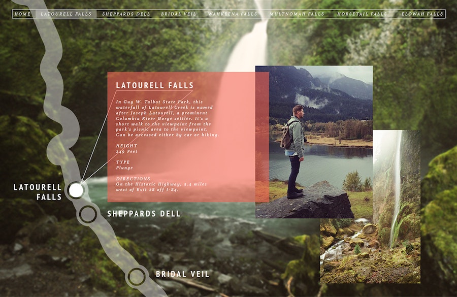 Go wild for outdoorsy design - The Creative Edge