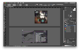 Indesign Software Lasopaaw