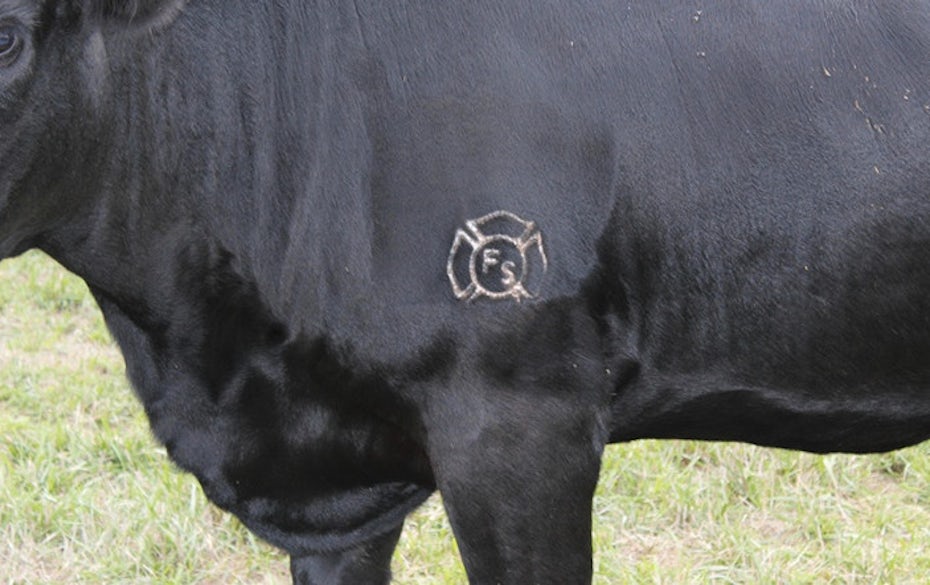 What is branding? - 99designs